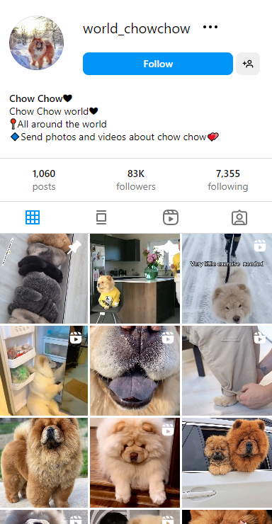 CHOW CHOWS 83K | TooFame